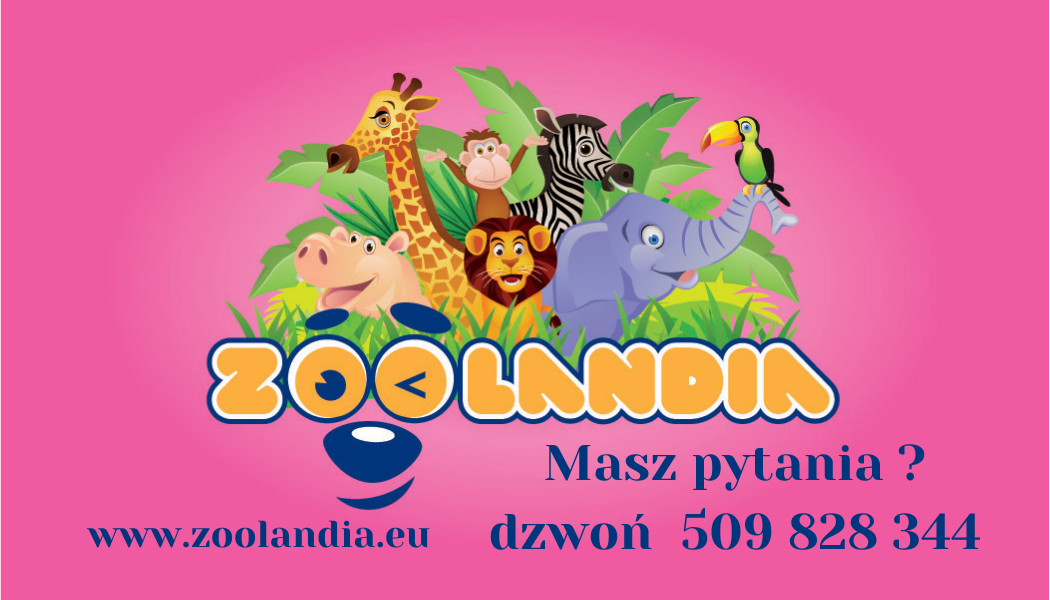 Aktualne promocje – Zoolandia | Sala zabaw i klub malucha Wodzisław